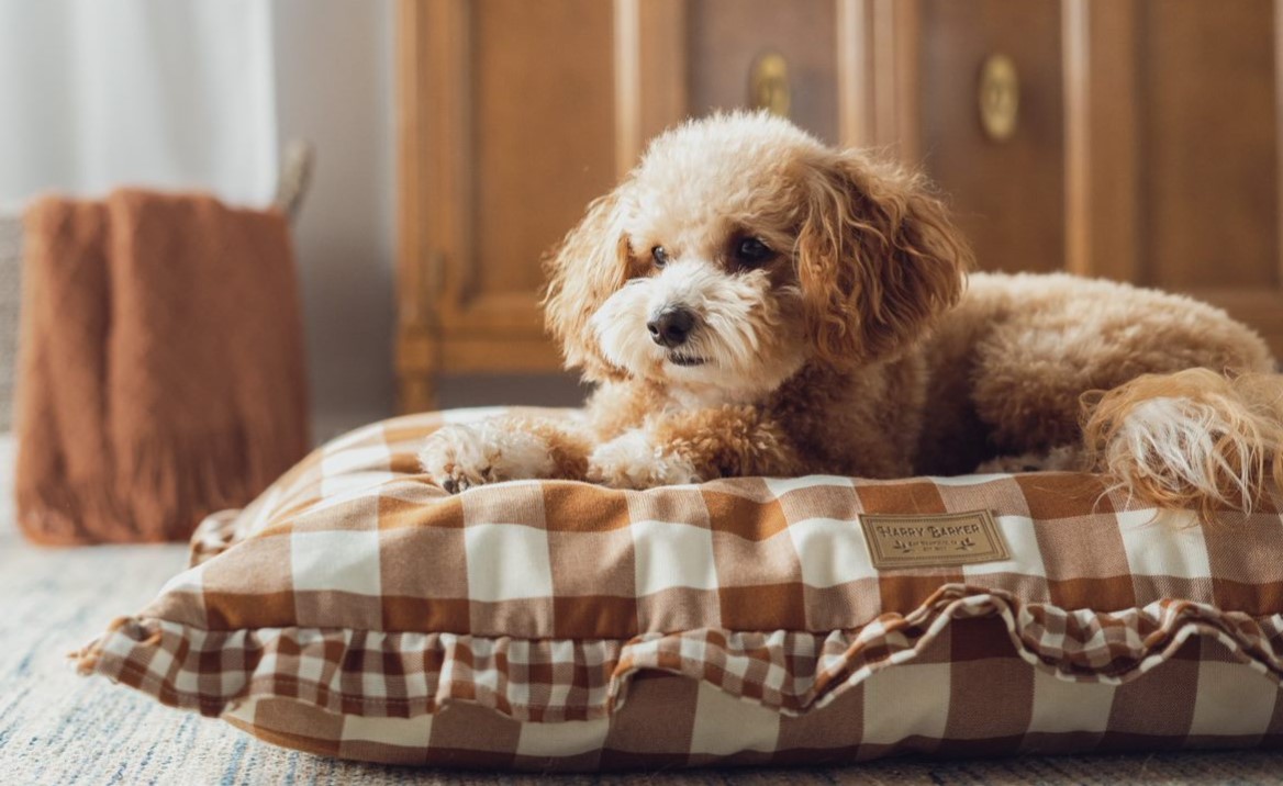 Vintage Brown Gingham Envelope Bed