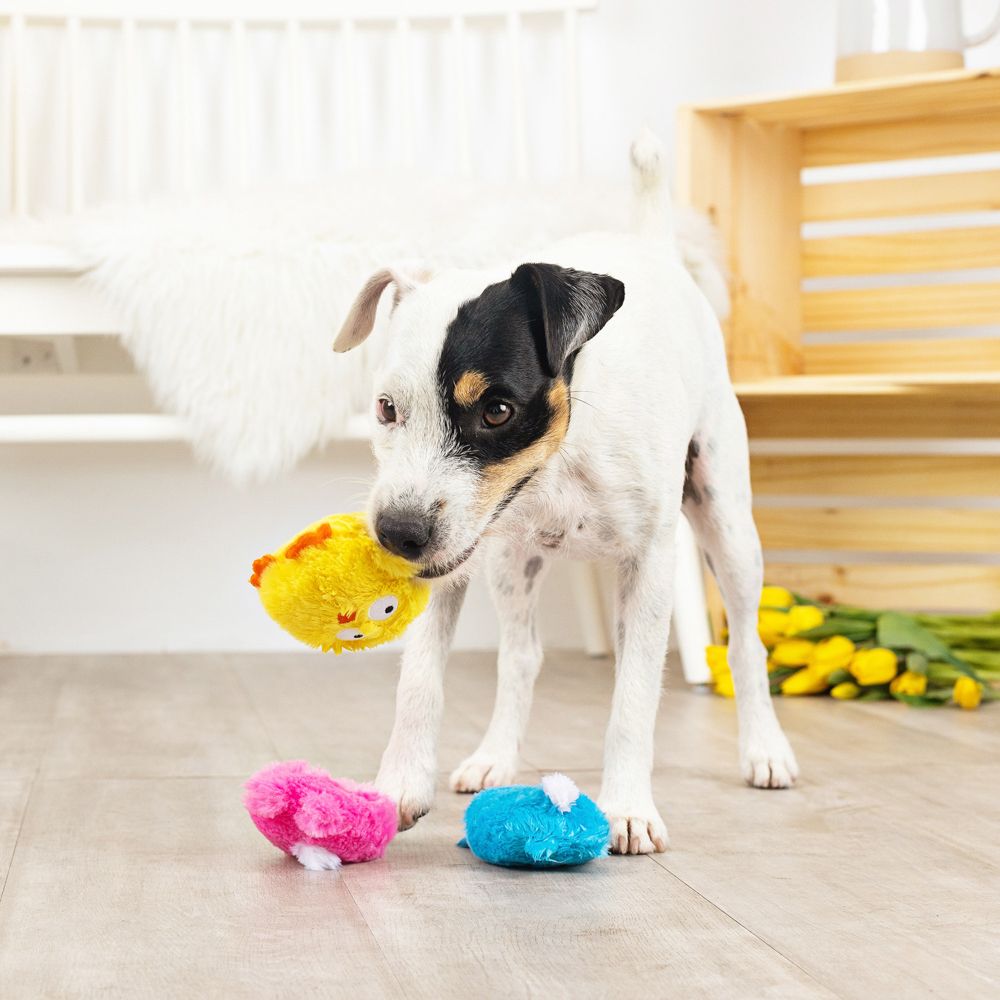 Hop, Skip, and a Jump Small Plush Dog Toys Set Of 3