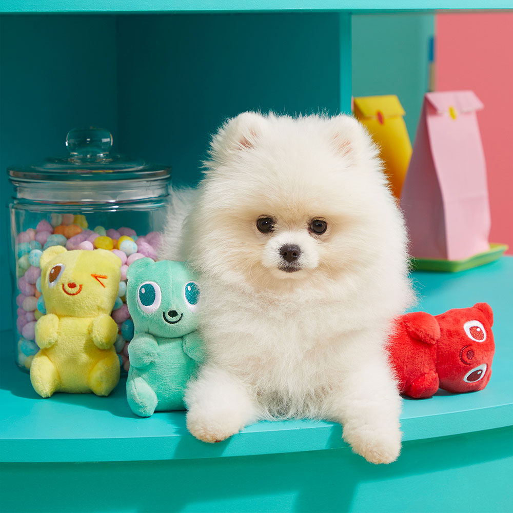 BARK Yummy Bear Buddies