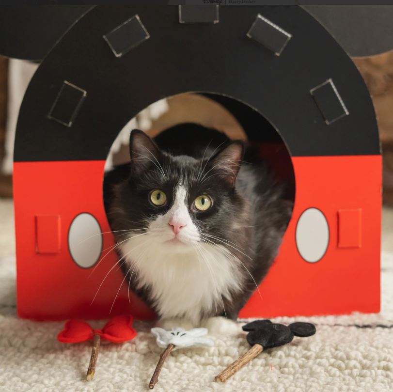 Disney Mickey Mouse Cat Scratcher Lounge with Toys