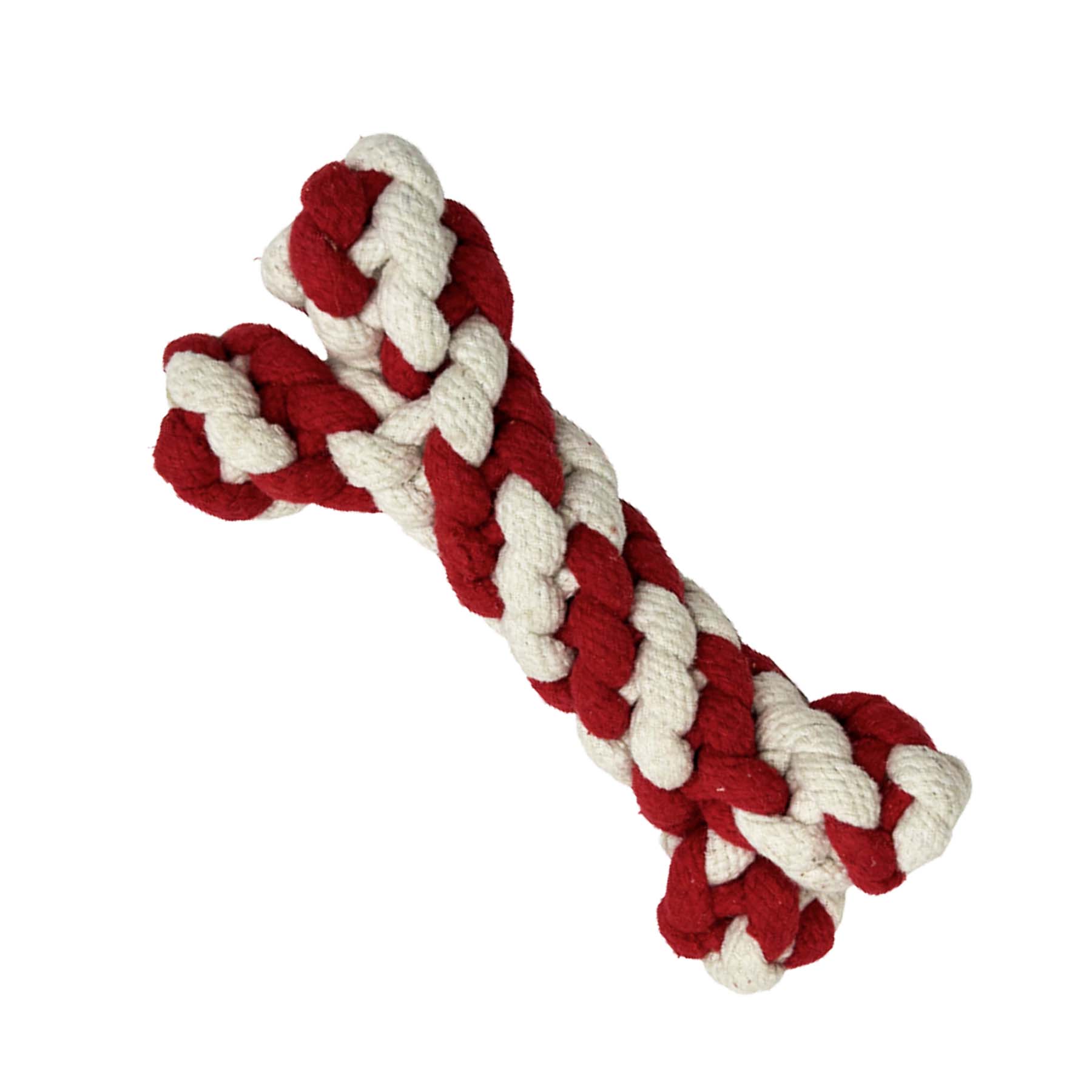 Positively Peppermint Cotton Rope Bone (display box)