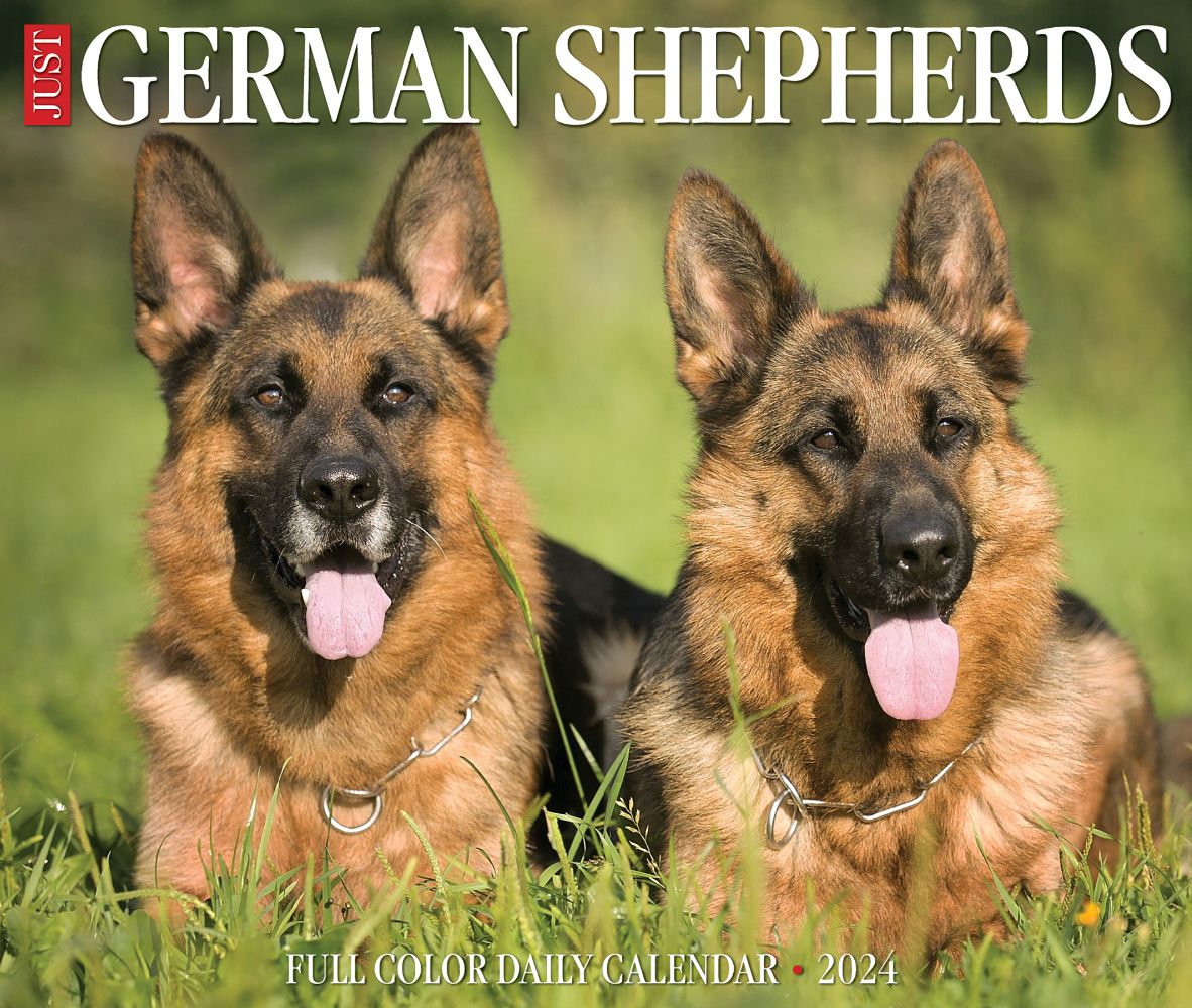 German Shepherds 2024 Box Calendar