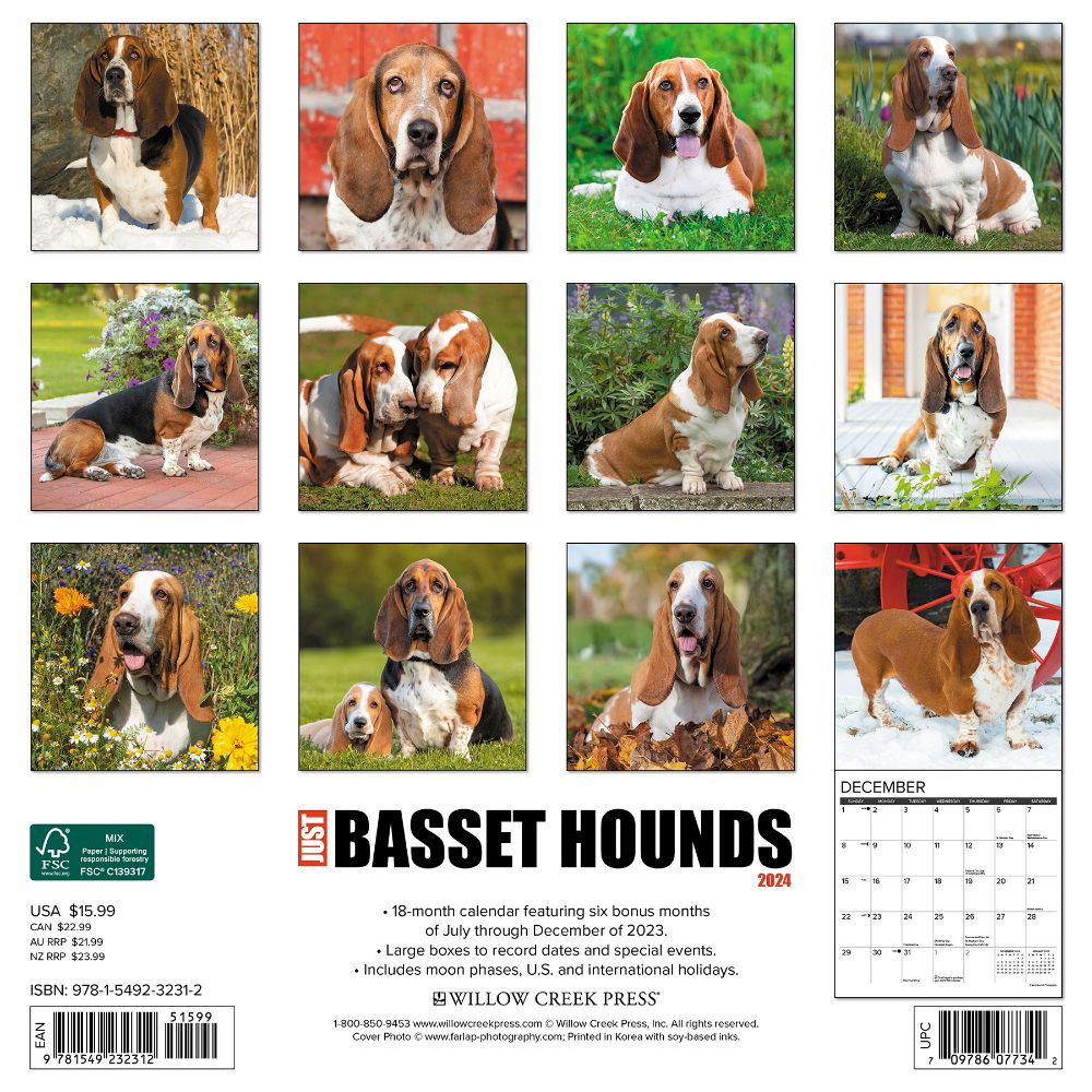 Basset Hounds 2024 Wall Calendar