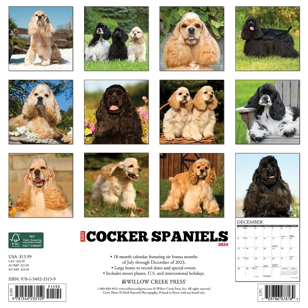 Cocker Spaniels 2024 Wall Calendar