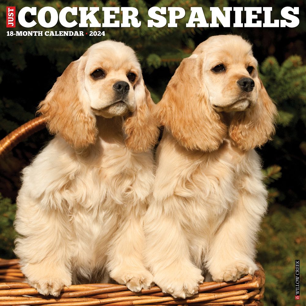 Cocker Spaniels 2024 Wall Calendar