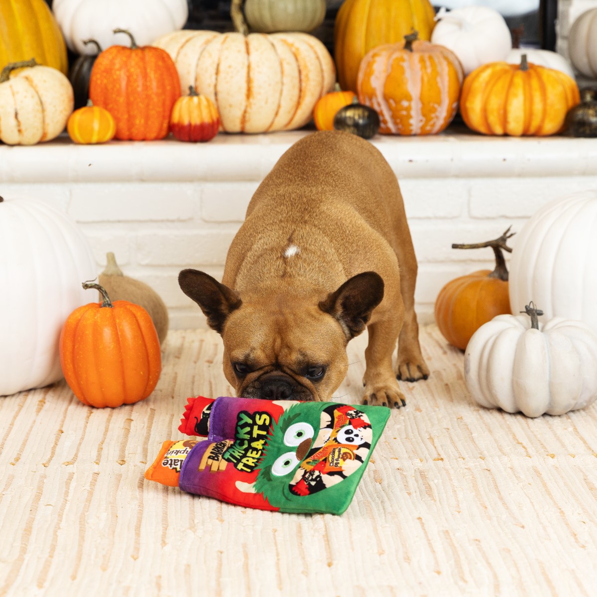 PetShop by Fringe Studio Tricky Treats Hide Seek Plush Dog Toy