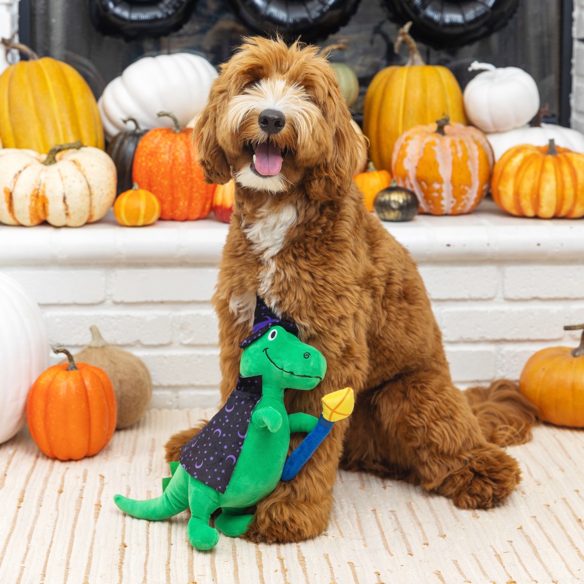 PetShop by Fringe Studio Spell-A-Saurus Plush Dog Toy