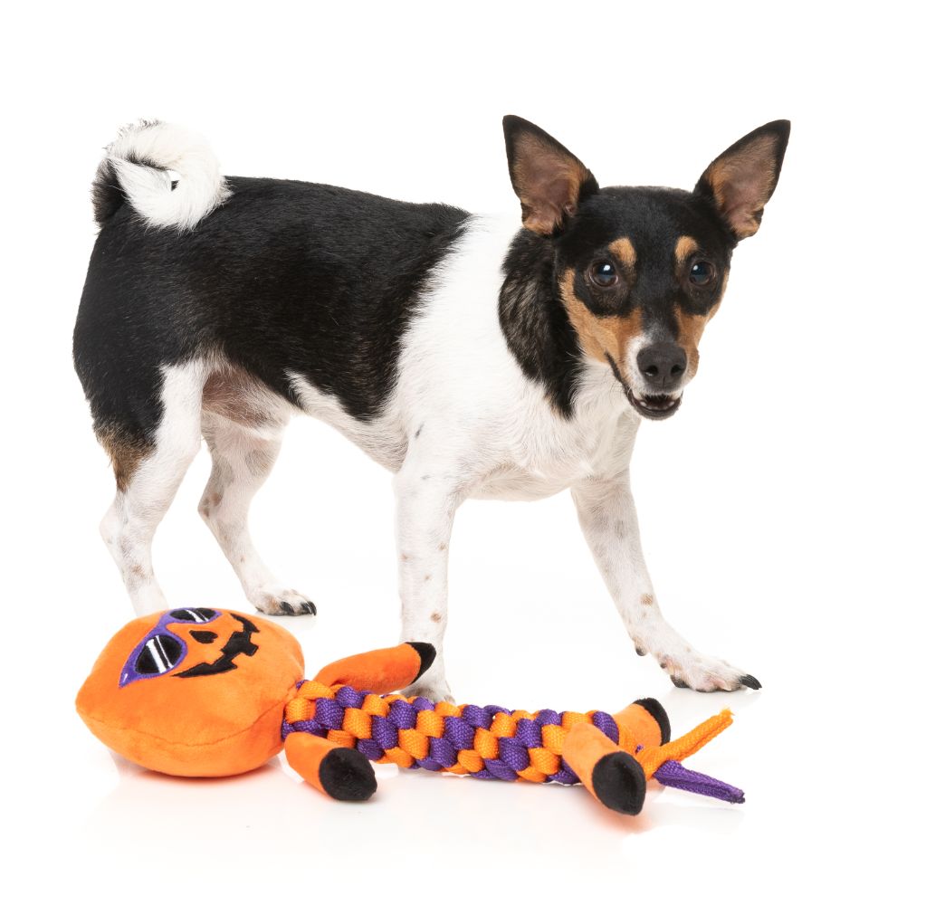 FuzzYard Dog Toy Gourdan Ramsay