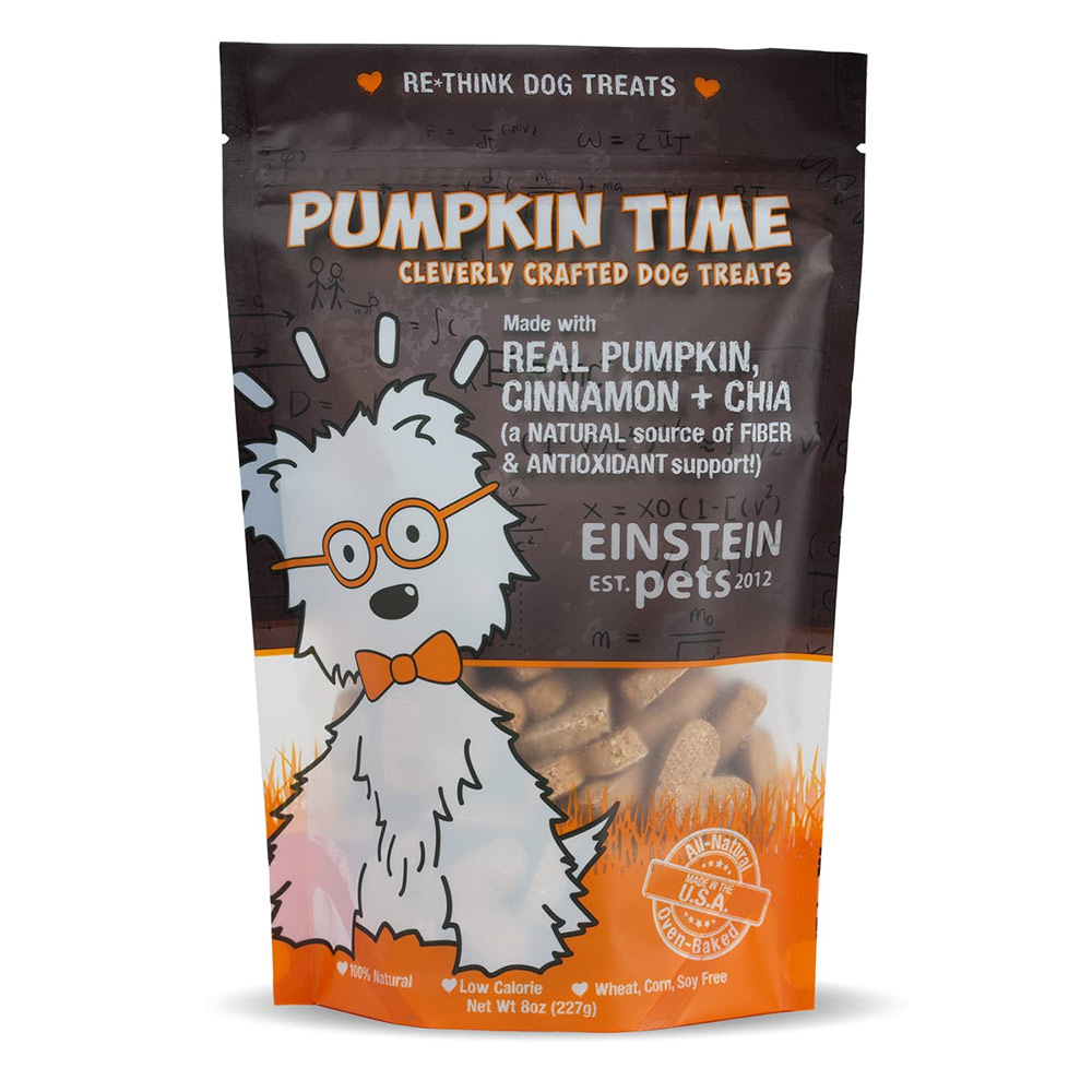 Einstein Pets Classics - Pumpkin Time