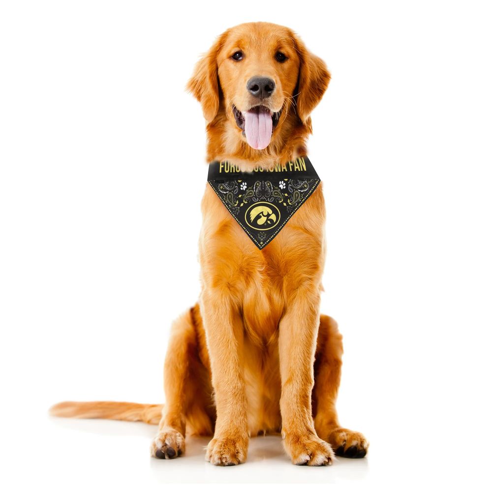 University of Iowa Pet Bandana