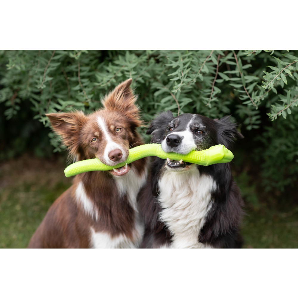 Snack Snake, Rubber, 16.5"