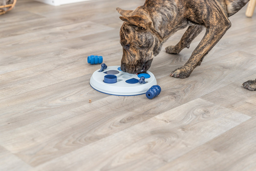 Dog Activity Hide N Slide