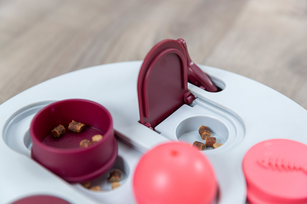 Cat Activity Hide N' Slide