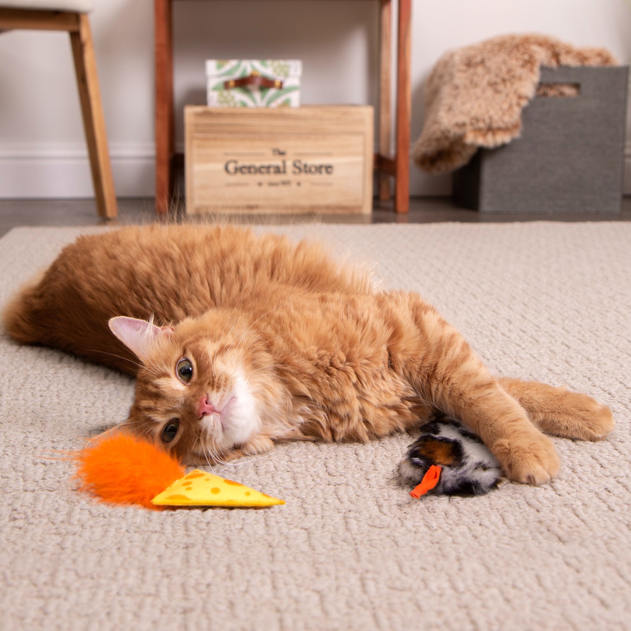 Instincts by SmartyKat Mouse 'N Mate Refillable Mouse Cat Toy ...