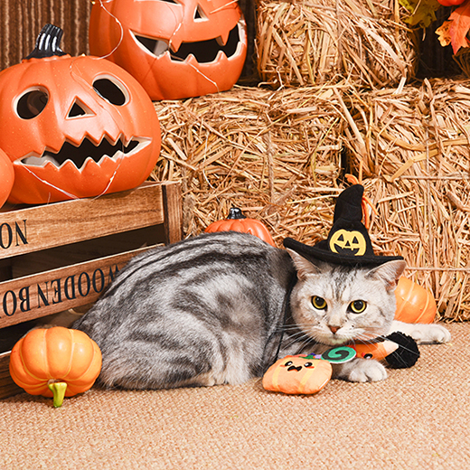 Spooky Cats — Candy Basket