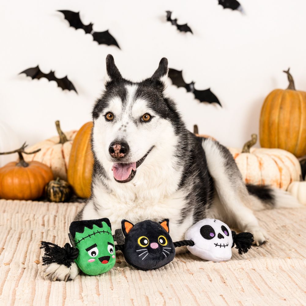 My Boo Crew Plush Dog Toy