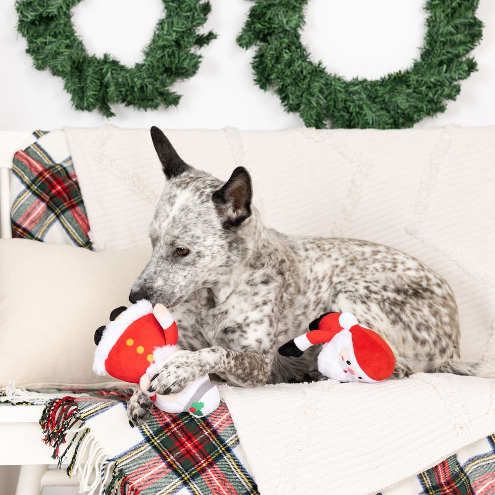 Mr. & Mrs. Santa Paws Plush Dog Toys Set Of 2