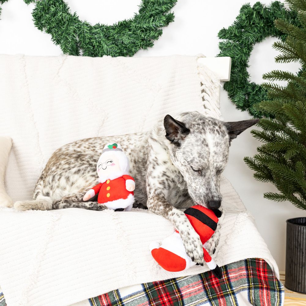 Mr. & Mrs. Santa Paws Plush Dog Toys Set Of 2