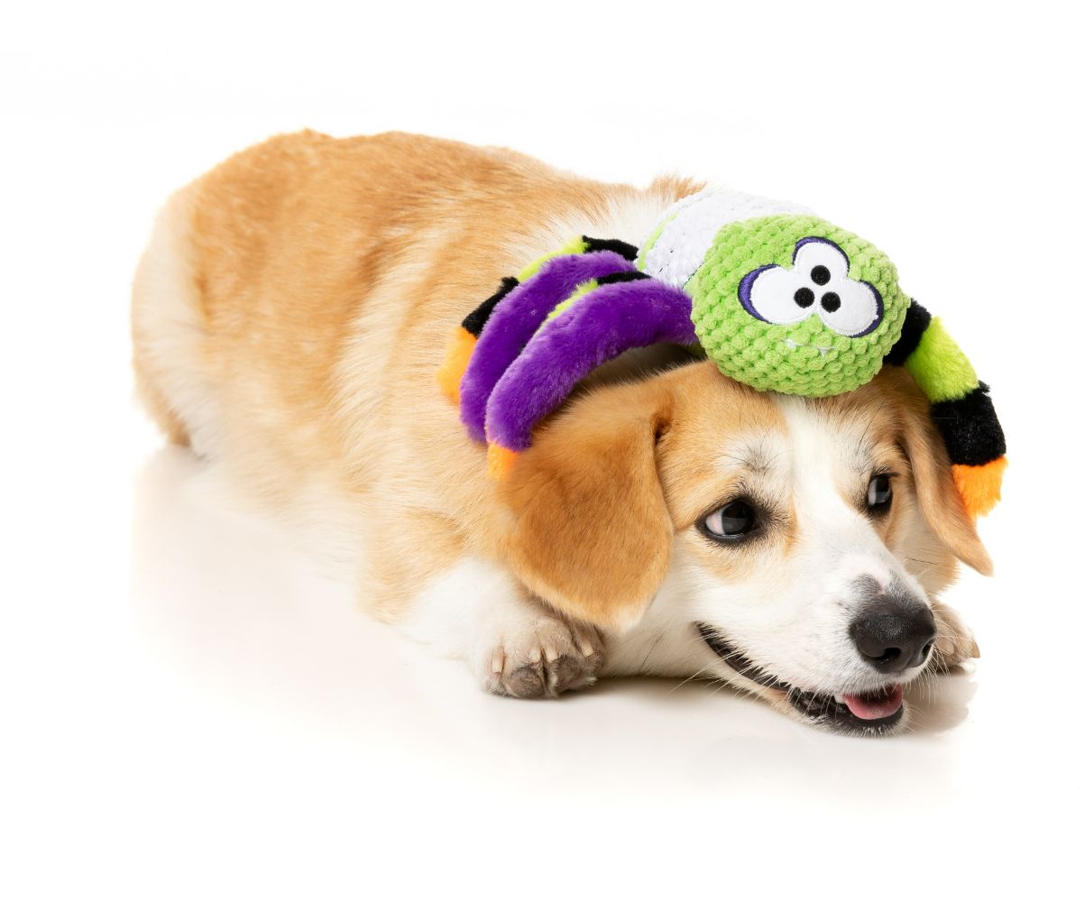 Dog Toy - Fuzzy Wuzzy Mummy