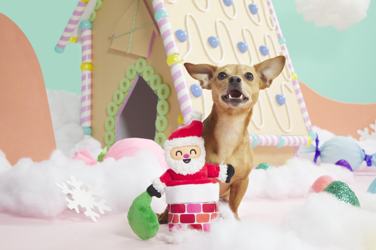 BARK Santa's Chimney Shimmy