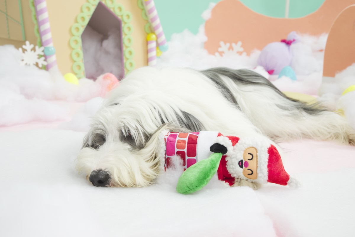 BARK Santa's Chimney Shimmy