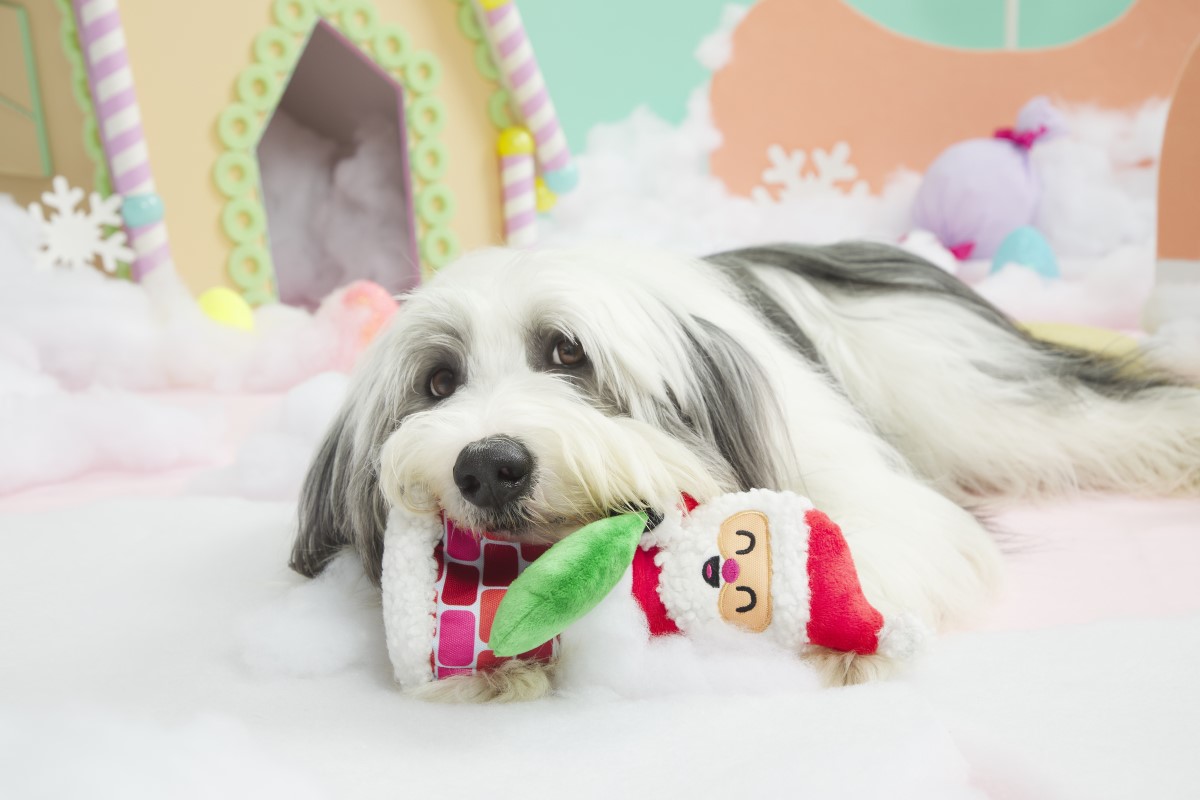 BARK Santa's Chimney Shimmy