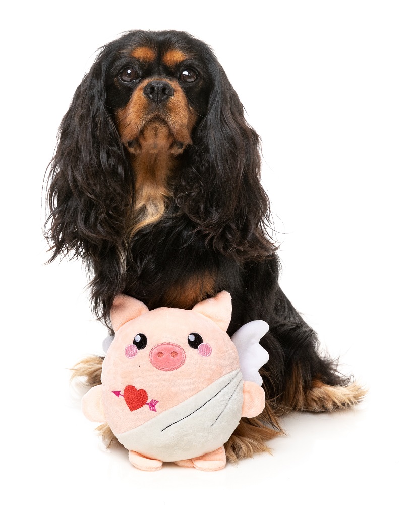 FuzzYard Dog Toy - CU-Pig
