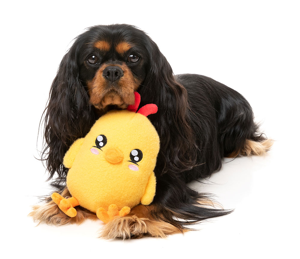 FuzzYard Dog Toy - Chicka-Dee