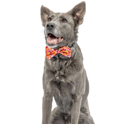 Fast Food Frenzy Bow Tie