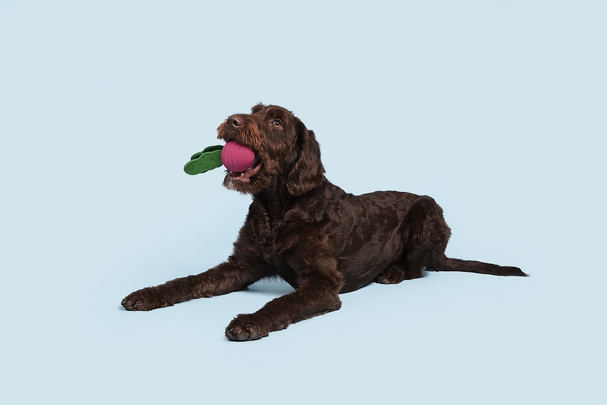 BARK Turnt Up Turnip Super Chewer