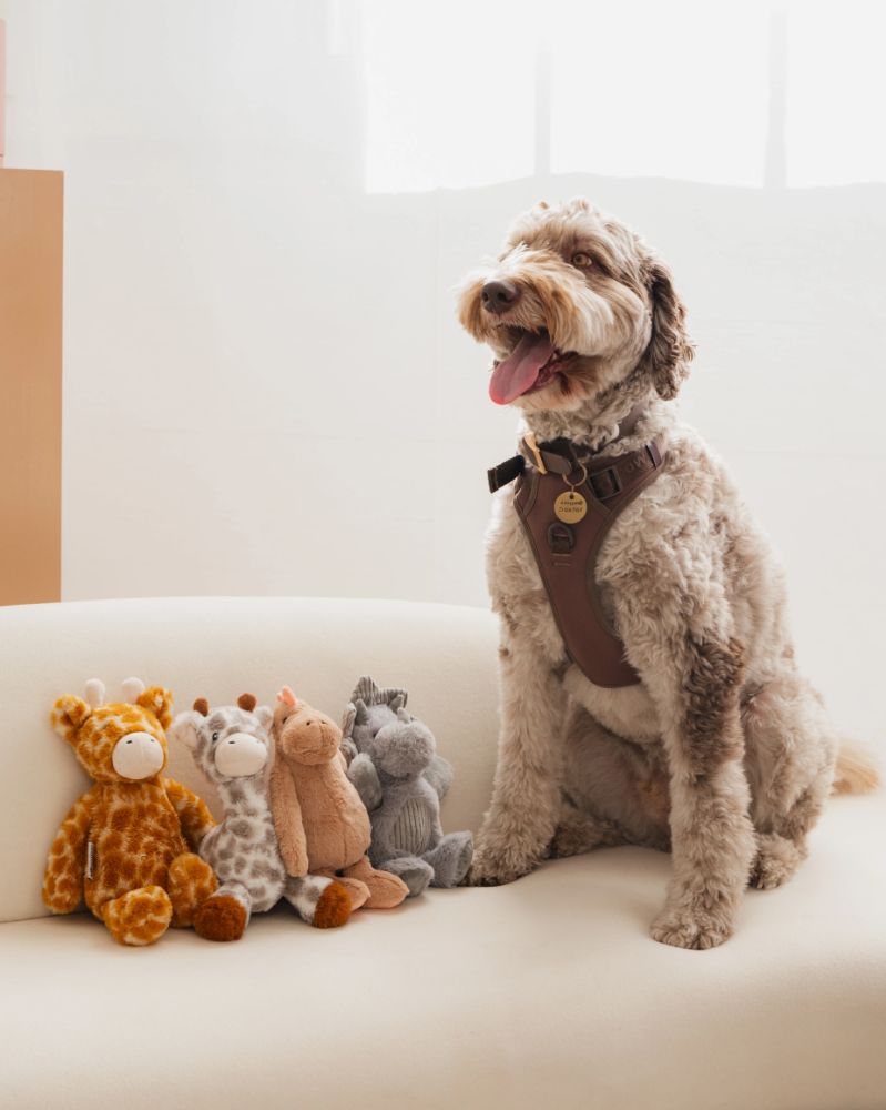Grey Giraffe Plush Toy