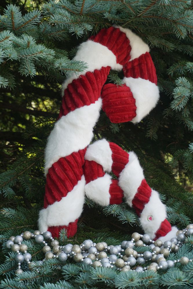 Candy Cane Plush Dog Toy
