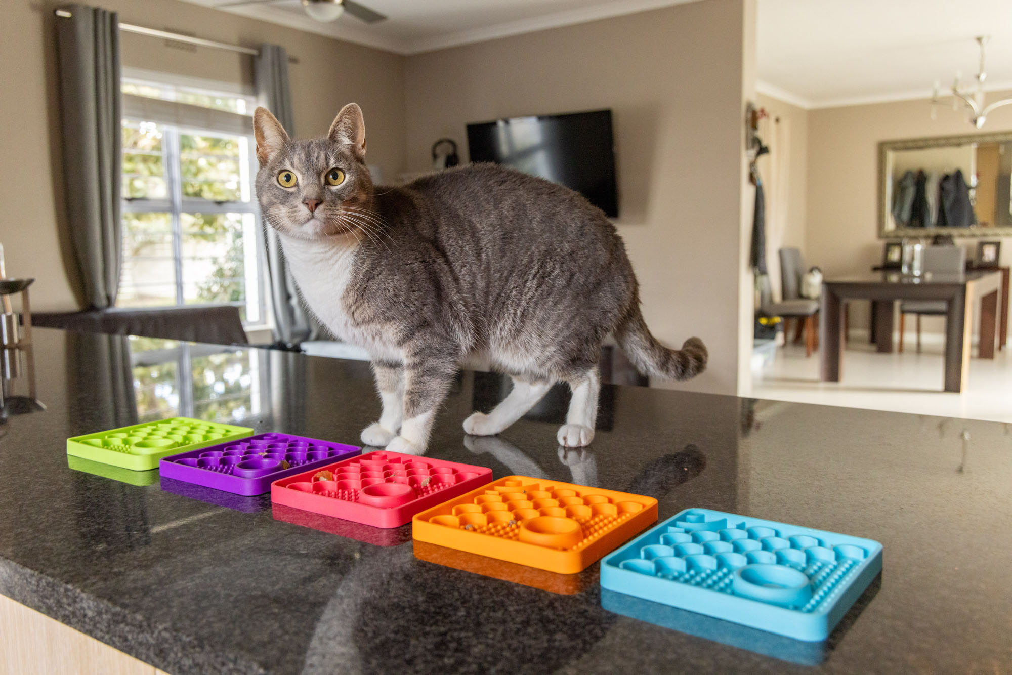 2x LickiMat Kitty & 2x Catster - FREE with $150 LickiMat Order