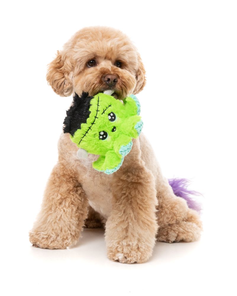 FuzzYard Stumpy Franken-pus Plush Dog Toy