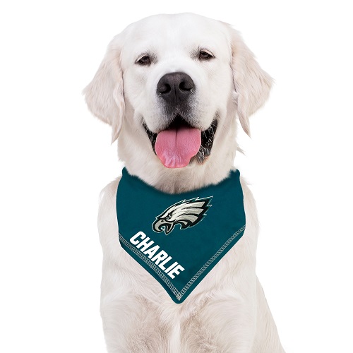 Custom NFL Philadelphia Eagles Tie Around Bandana