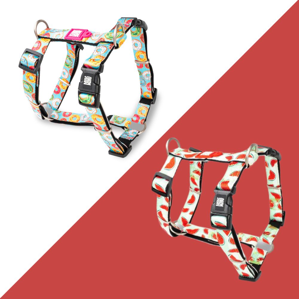Max & Molly Easy Control, H-Harness Collection for Dogs