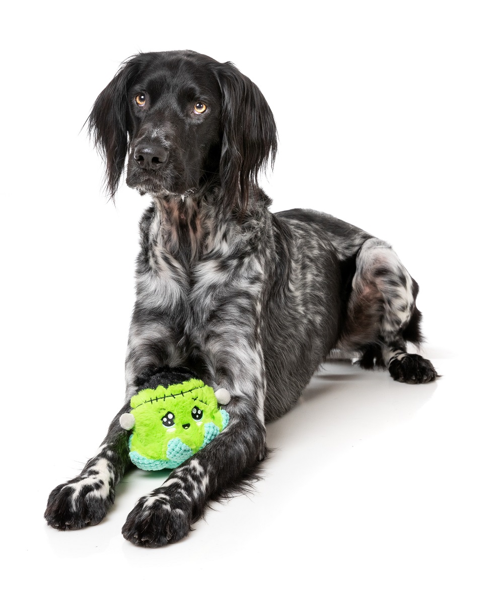 FuzzYard Stumpy Franken-pus Plush Dog Toy