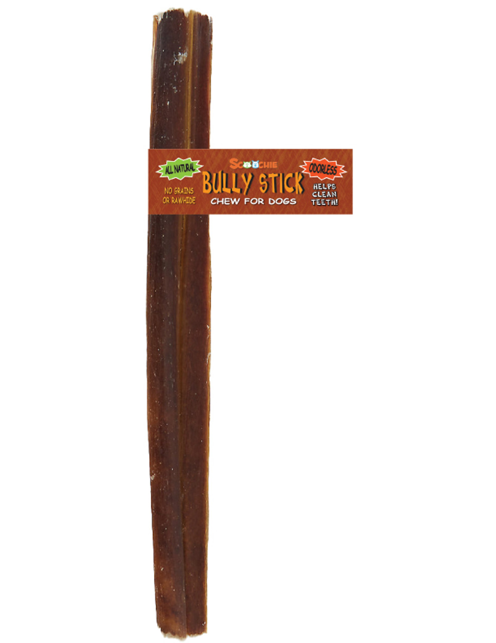 12 Inch Bully Stick With Scoochie Cigar Band/UPC Med Long PDQ of 36