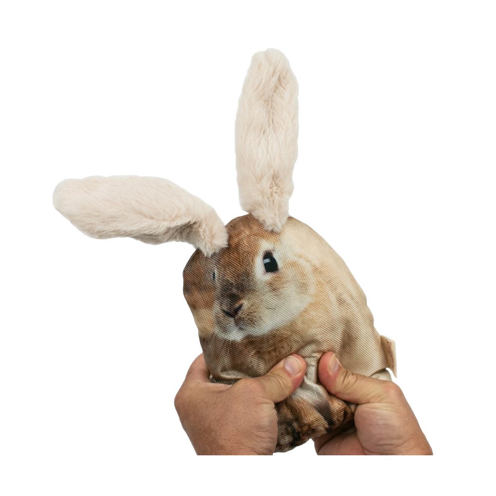 Floppy Rabbit Dog Toy