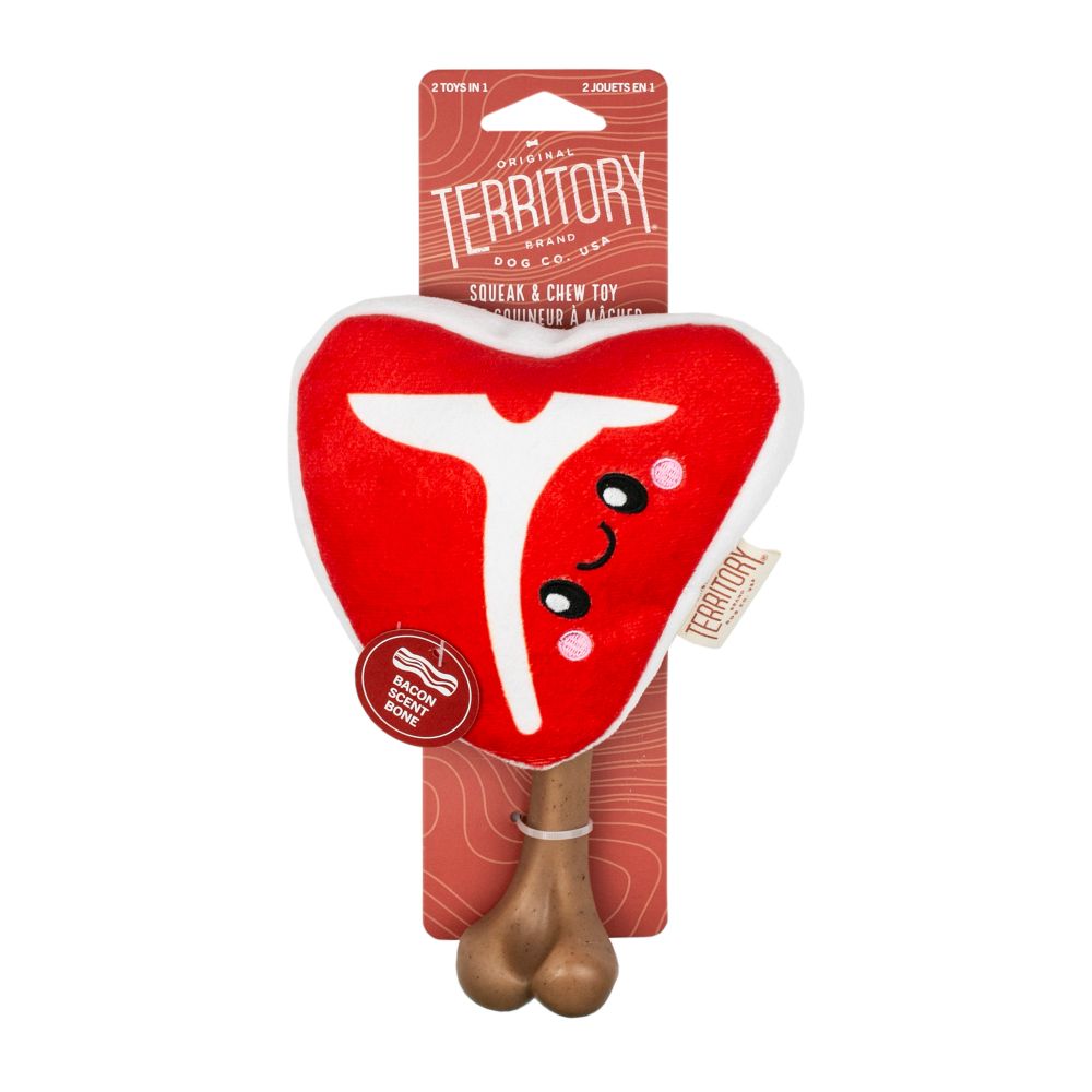 Steak Bone 2-in-1 Dog Toy