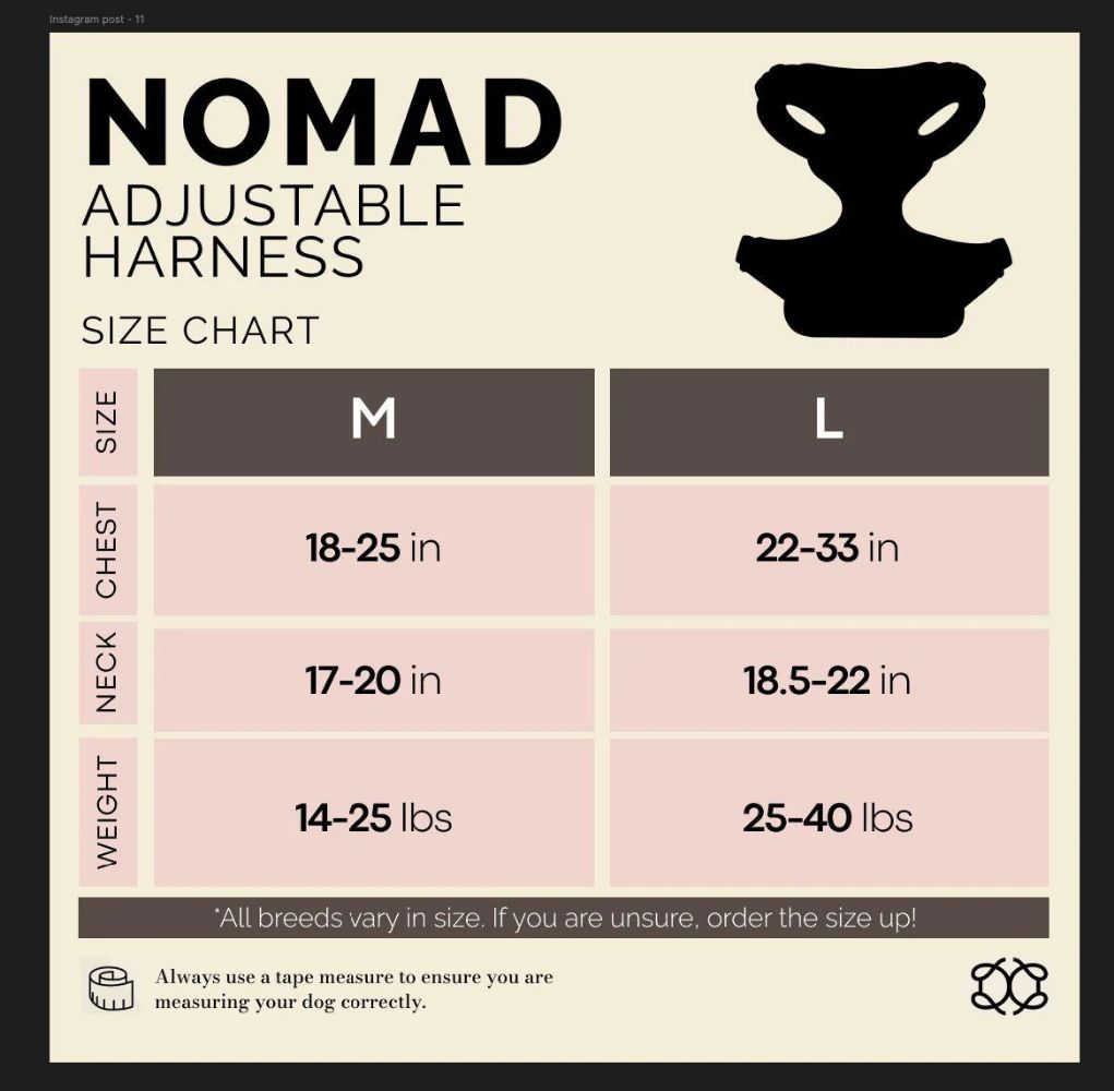 The NoMad Adjustable Dog Walking Set - Heartthrob