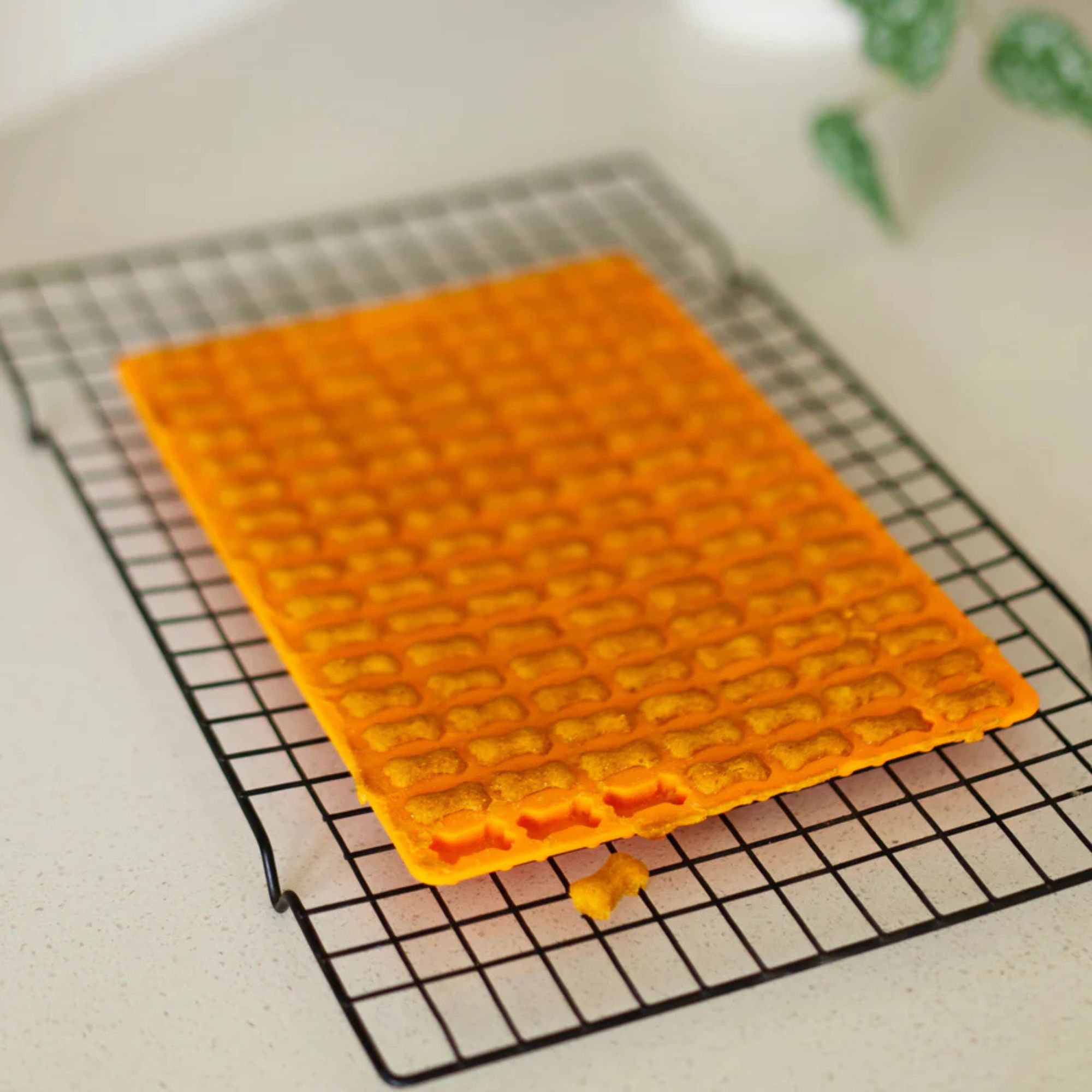 Messy Mutts Dog Silicone Mini Treat & Topper Making Mold Blue & Orange ...