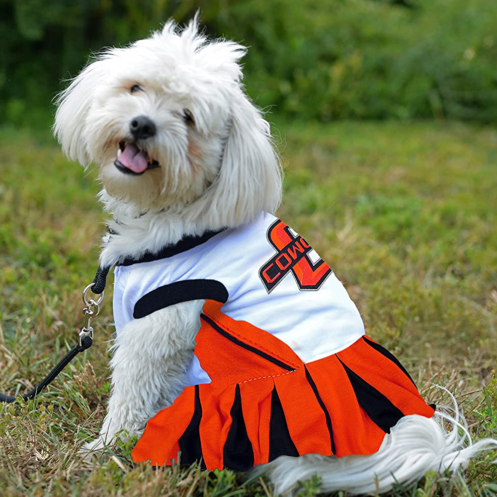 Oklahoma State Cheerleader Dog Dress