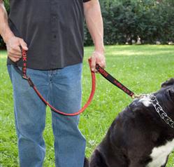 ROK Strap Leash - Medium