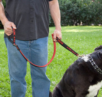 ROK Strap Leash - Large
