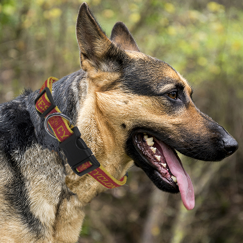 Iowa State Dog Collar