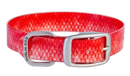 KOA Collar Red Snapper