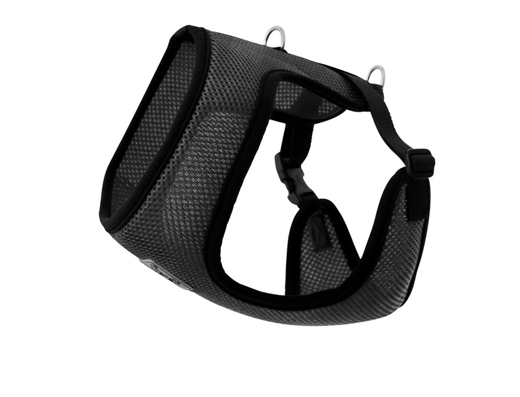 Cirque Harness - Charcoal