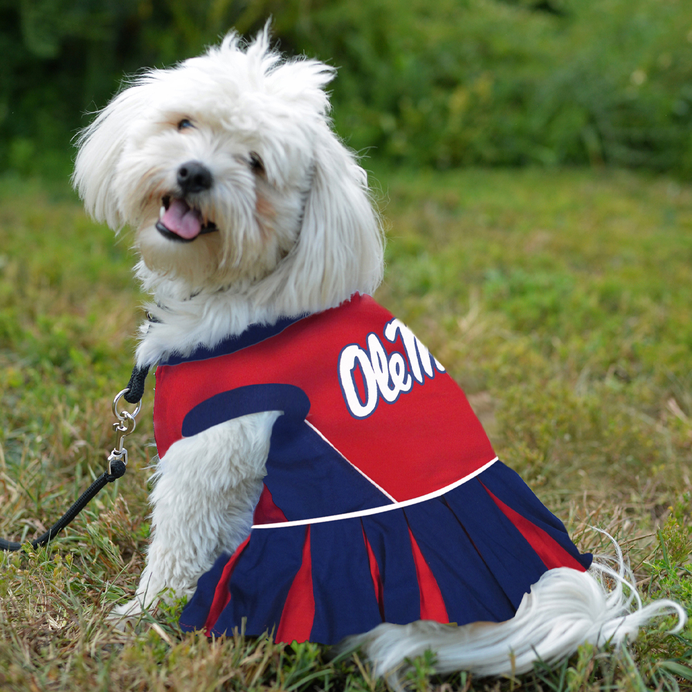 Mississippi Rebels Cheerleader Dog Dress